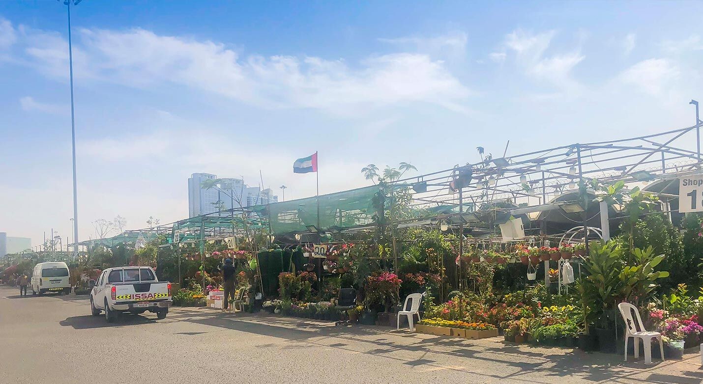 Al Mina Plant Souk - Its time for Gardening - Experience Abu Dhabi