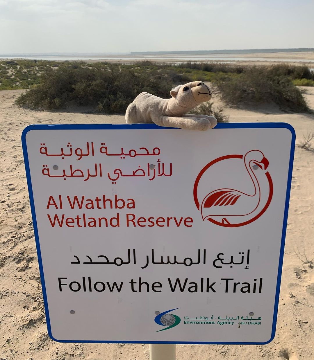 The Wonders of Abu Dhabi's Al Wathba Region | Experience Abu Dhabi