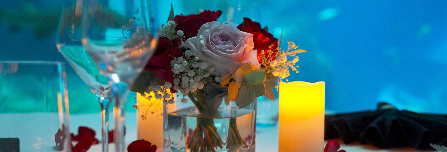 Dine With a Mesmerizing View this Valentine’s Day at SeaWorld® Yas ...